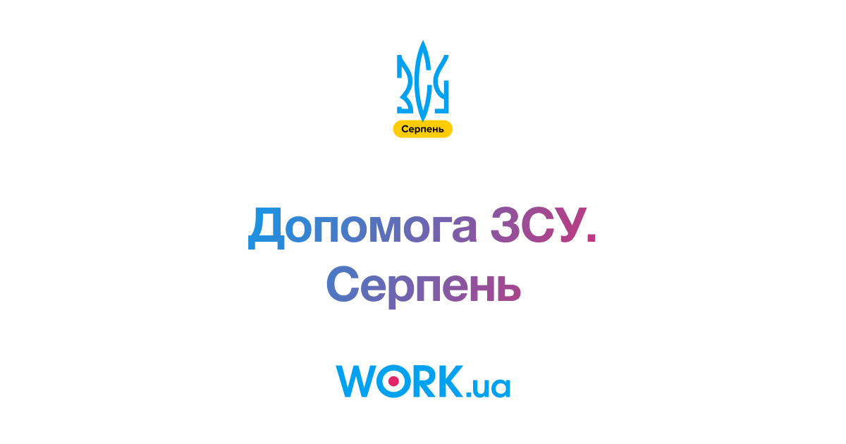 31 волонтерське завдання, 5 авто, 10 безпілотників та 1 млн грн на FPV-дрони: як Work.ua ...