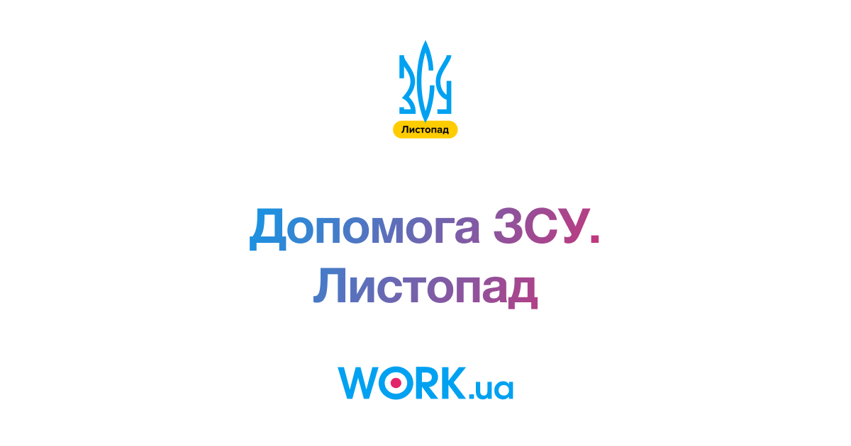 32 волонтерських завдання, 7 авто, 2 човни та генератор для ППО: куди Work.ua спрямував допомогу ...
